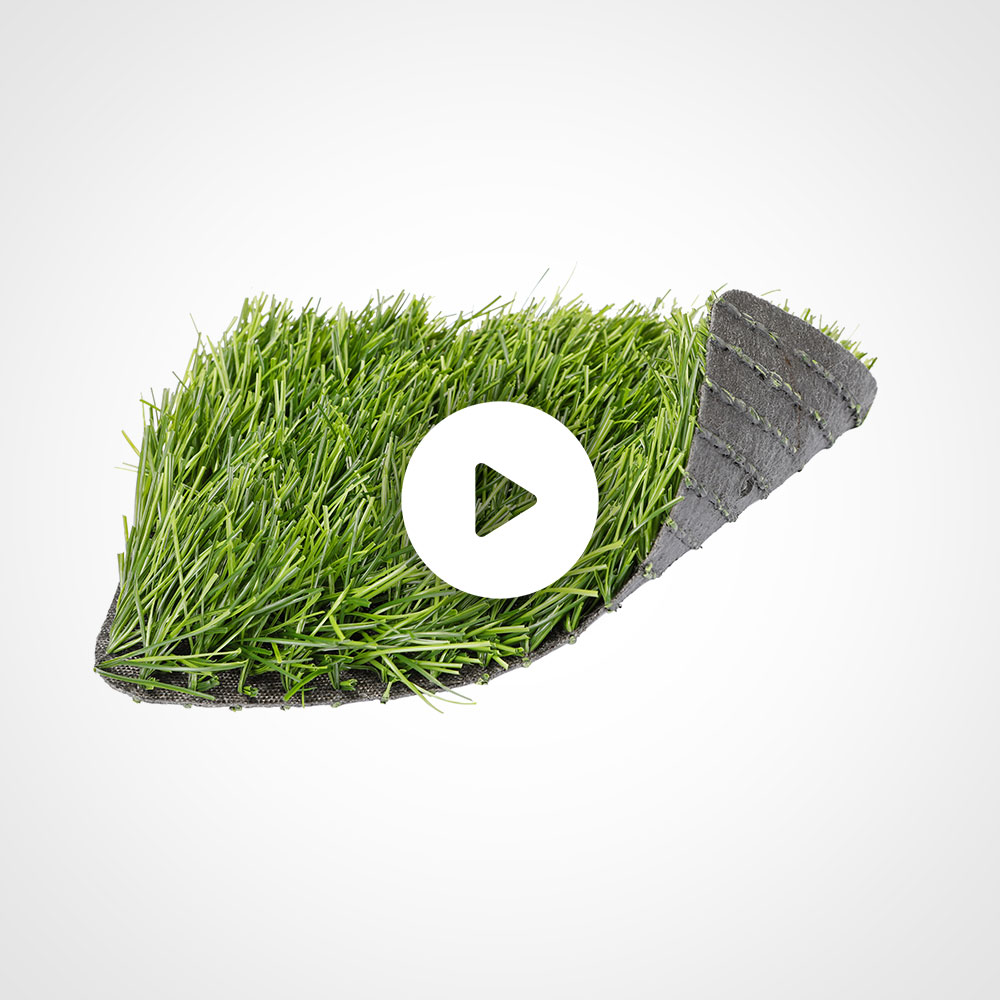 Garden Trend Grass - Avengrass | +90 212 678 13 13
